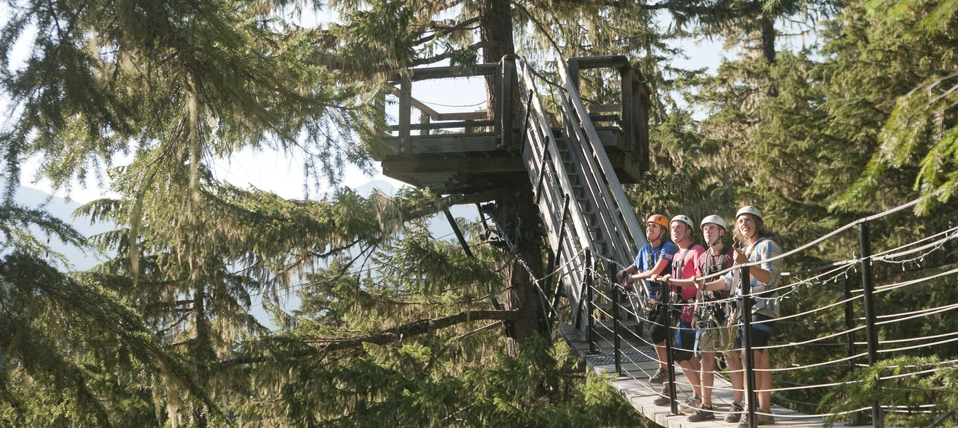 Wandeling door de boomtoppen - Whistler | Travelnauts