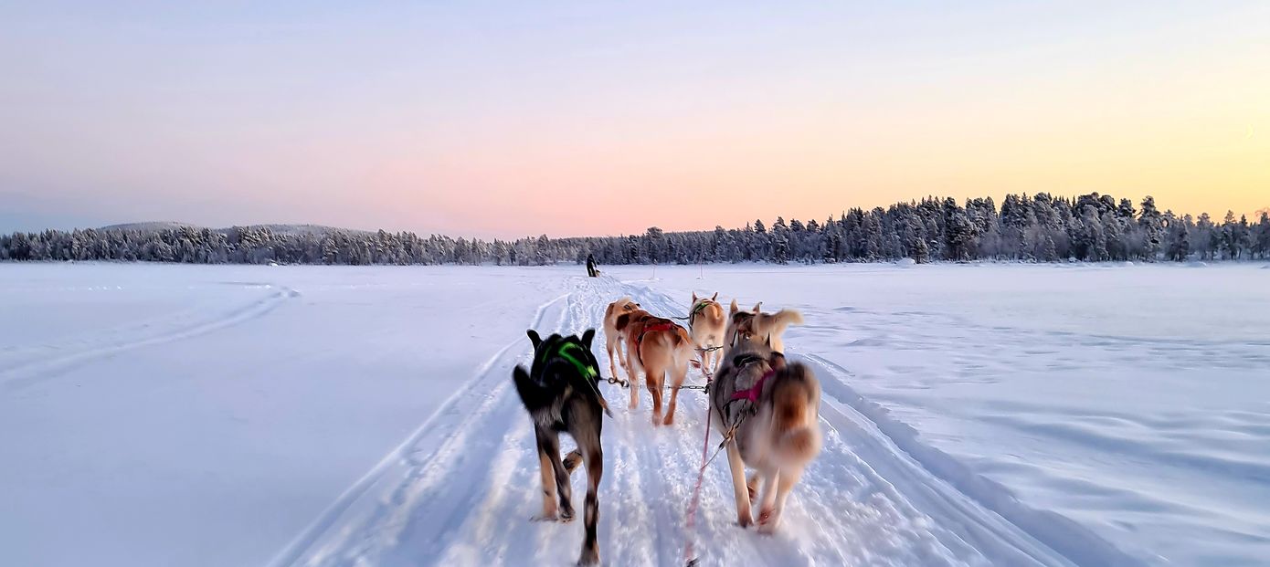 Inspiratie voor uw familiereis naar Finland | Travelnauts