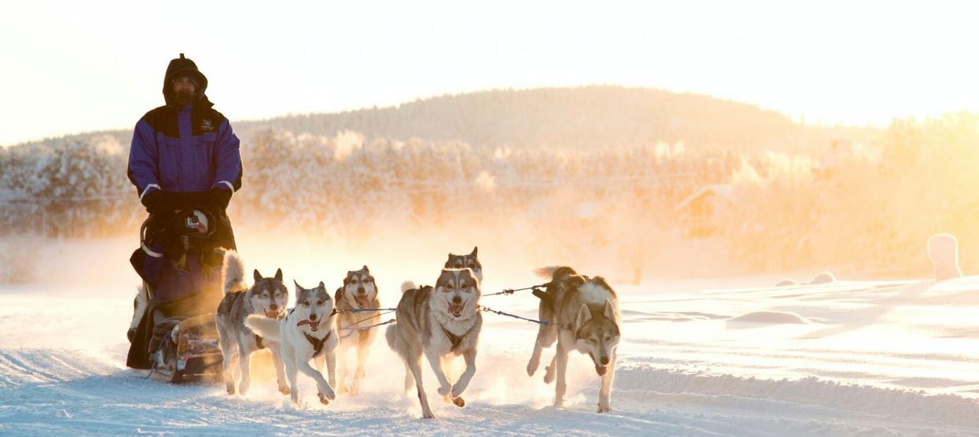 Husky safari - Northern Lights Village - Levi | Travelnauts