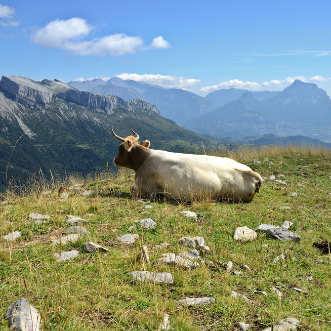 De Spaanse Pyreneeën; 5 toffe activiteiten | Blog | Travelnauts