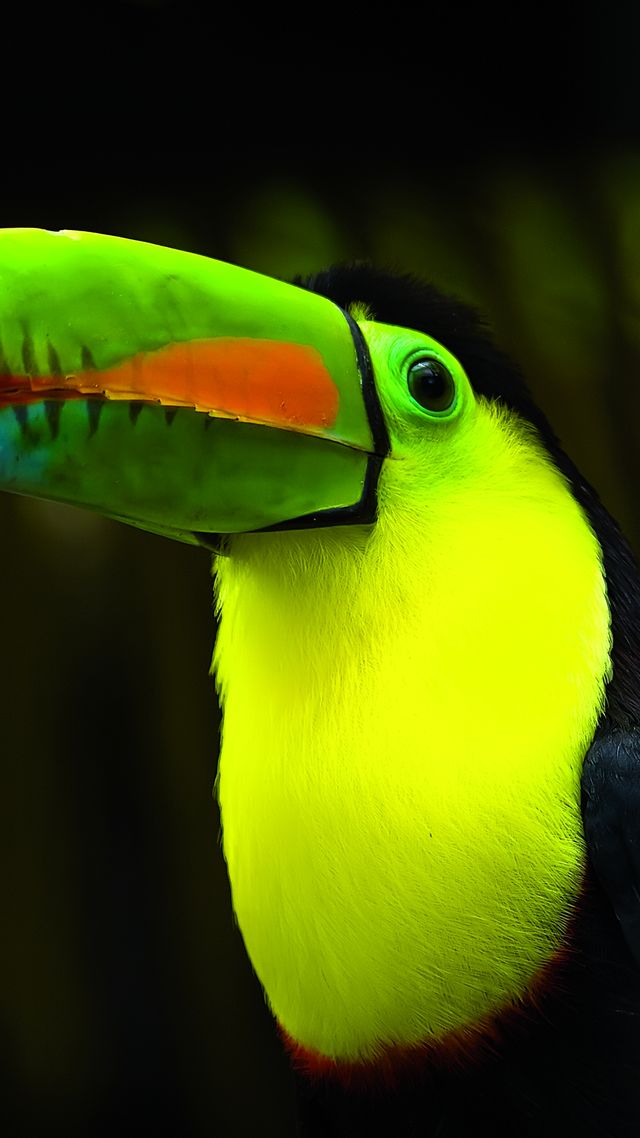 Mooiste natuur van Costa Rica | Reisblogs | Travelnauts