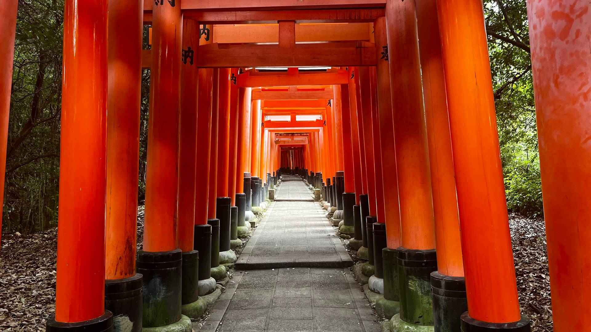 Ontdek:10x typisch Japan | Reisblog | Tenzing Travel